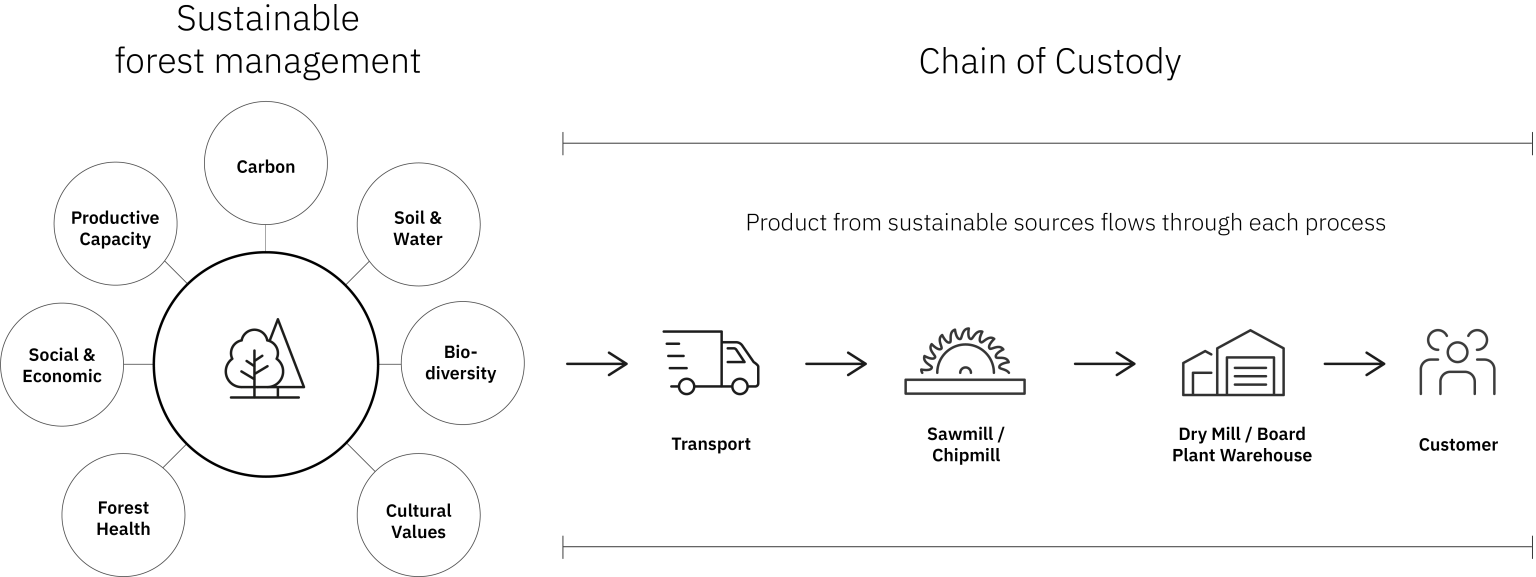 Sustainable Forest Management | Pentarch Forestry